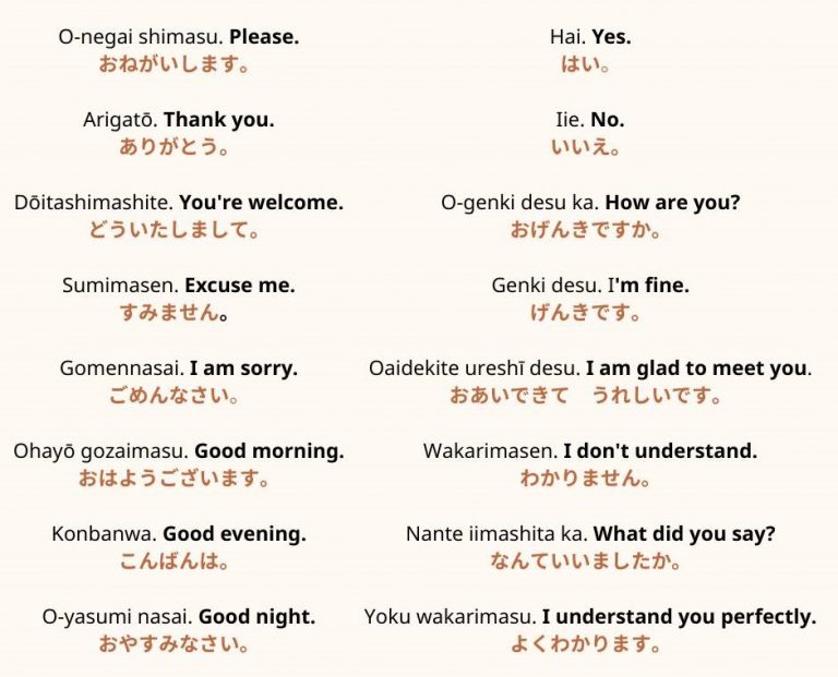 Basic Japanese Phrases