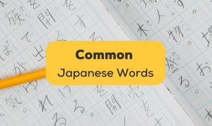 3000 Most common Japanese words
