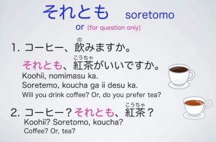Useful Japanese Grammar with Examples: Part 2