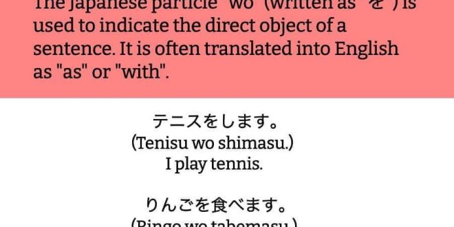 Japanese particle in detail