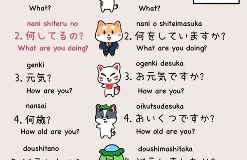 Casual and Polite in Japanese